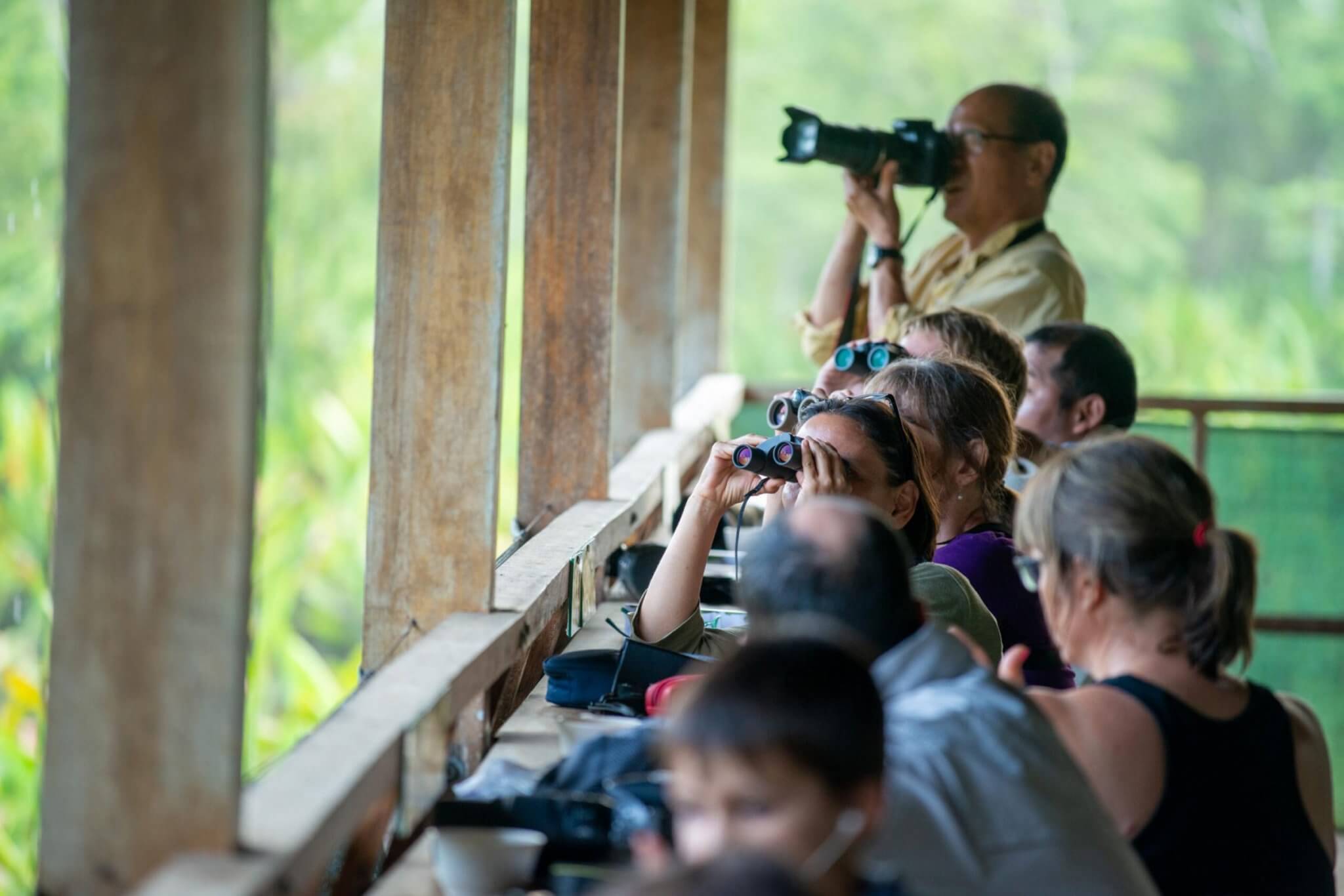 Machu Picchu com Reserva Nacional de Manu : Machu Picchu Brasil